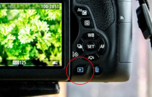 8 Things Every Photographer Should Learn to Do In Under 10 Seconds ...